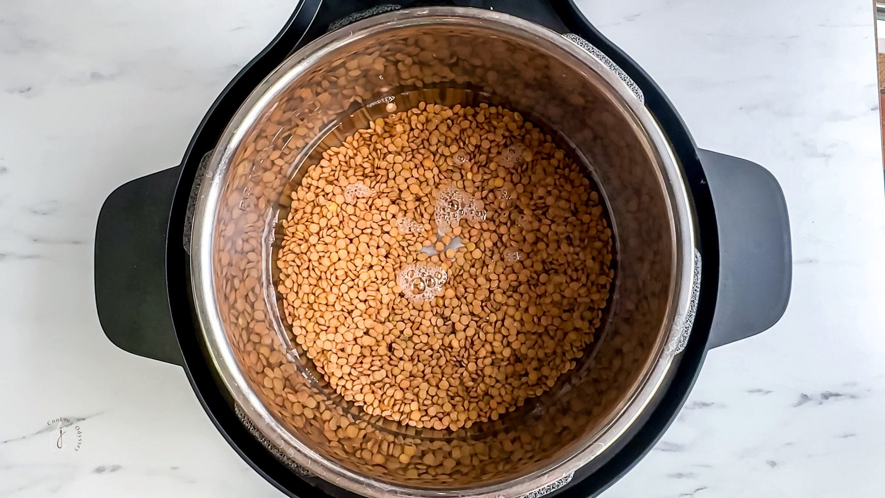 Lentil Salad | J Cooking Odyssey