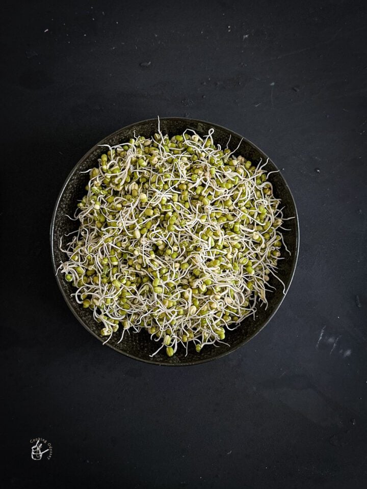 Easy Mung Bean Sprouts (no fancy equipment) | J Cooking Odyssey