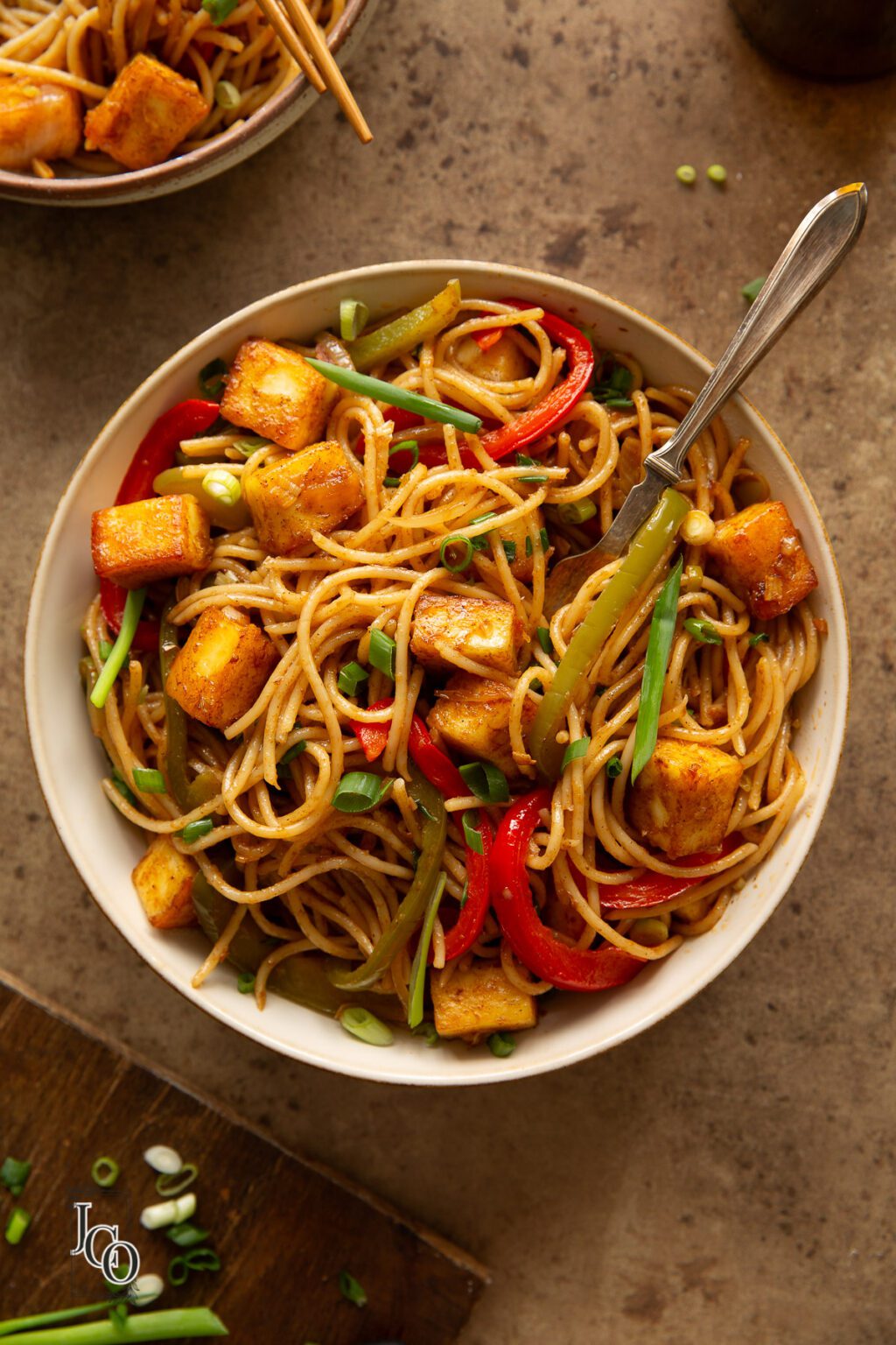 Chilli Paneer Noodles | J Cooking Odyssey